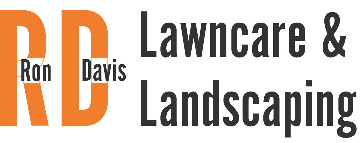 Customer Assistant - Login